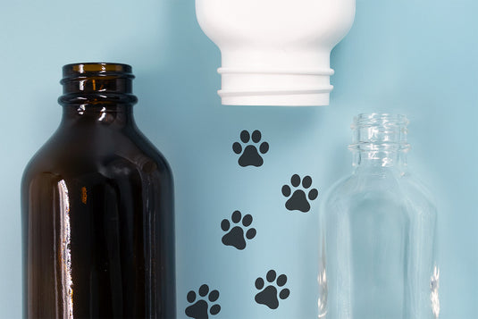 Introduction to Caps and Closures in Packaging – Richards Packaging